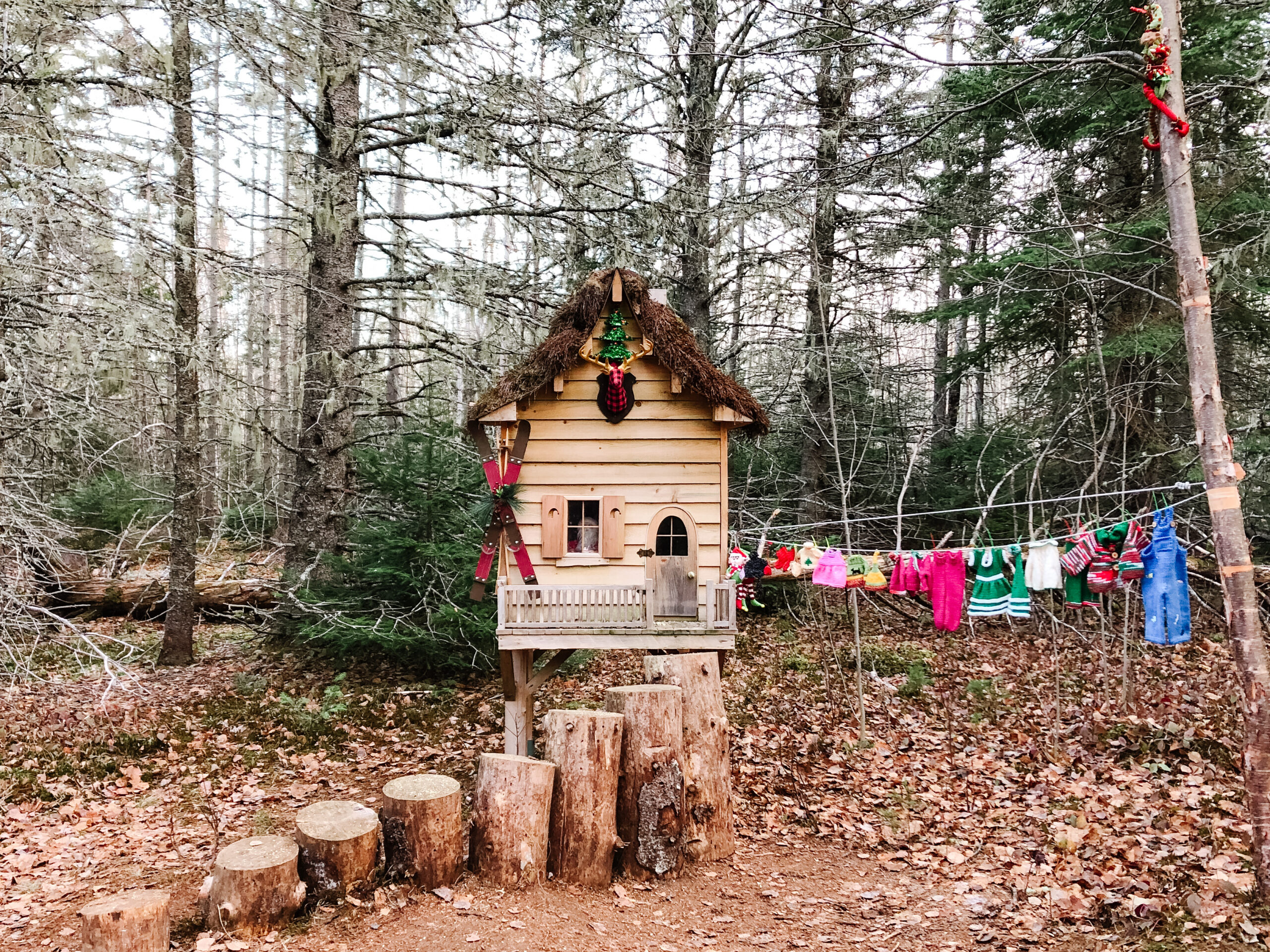New Brunswick's Magical Elf Trail - There's a Shoe for That